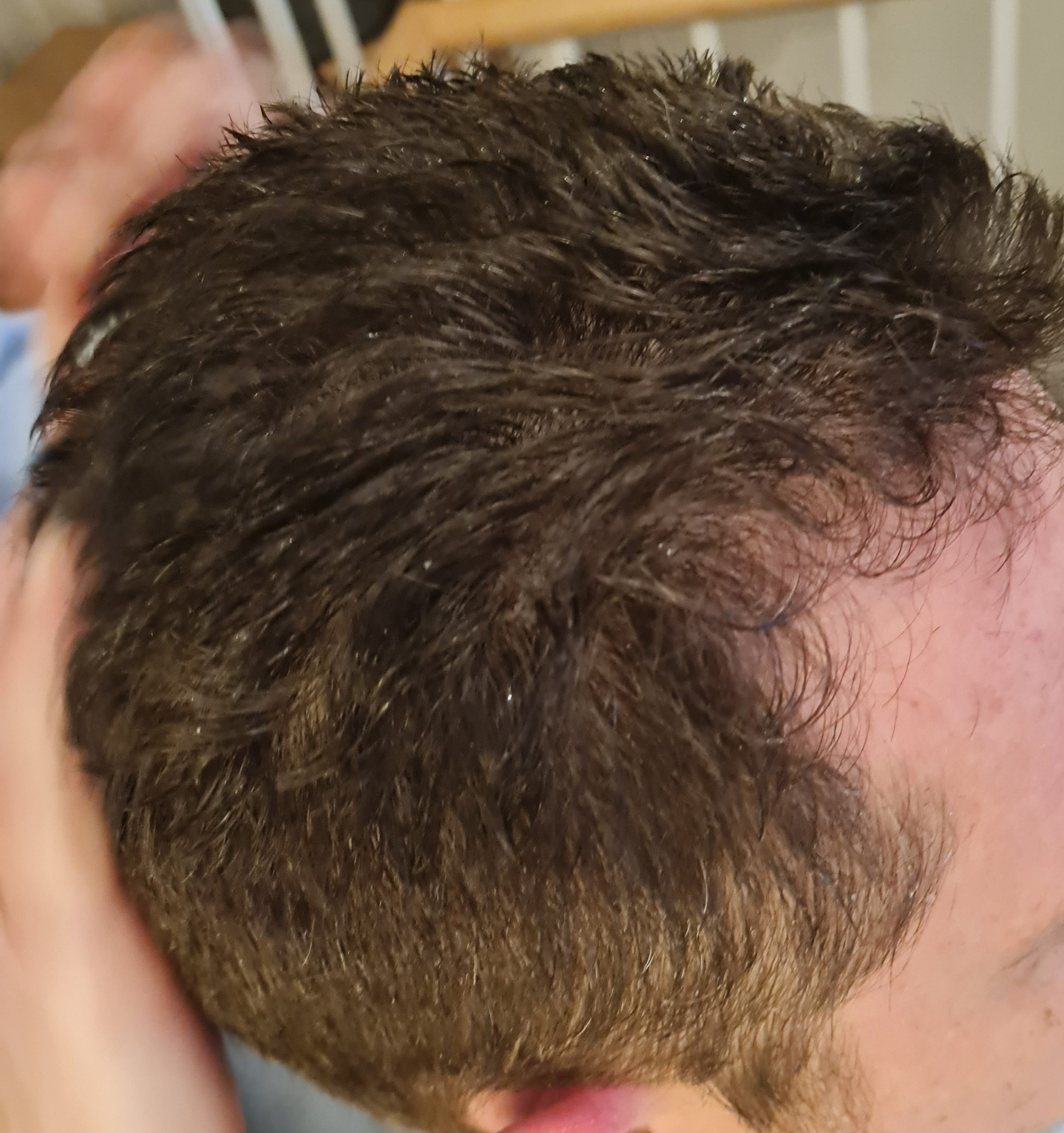 20230226_174257 – Die Produkt Tester Familie